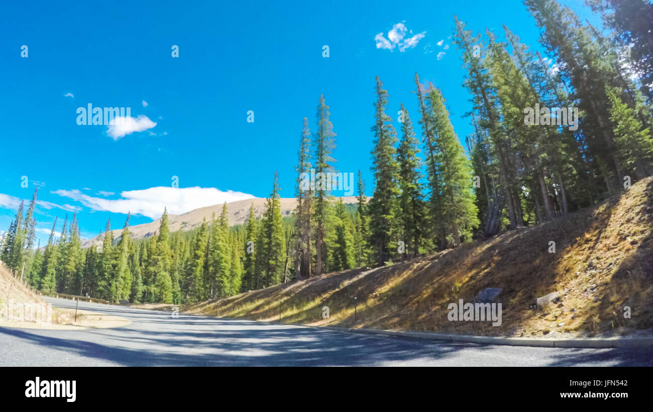 POV point of view - Driving through alpine forest of Guanella Pass in ...