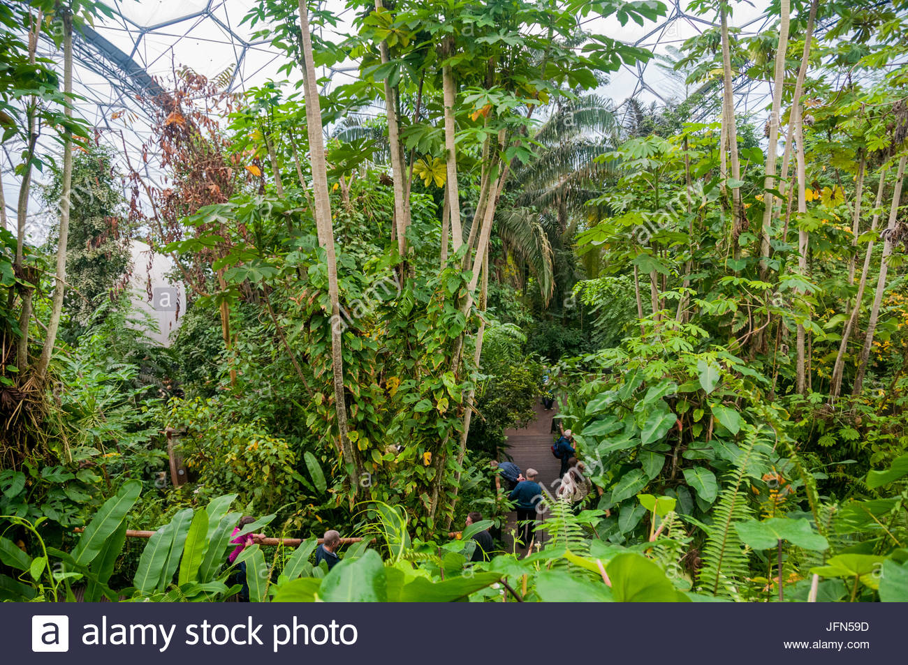 Rainforest Biome Stock Photos & Rainforest Biome Stock Images - Alamy