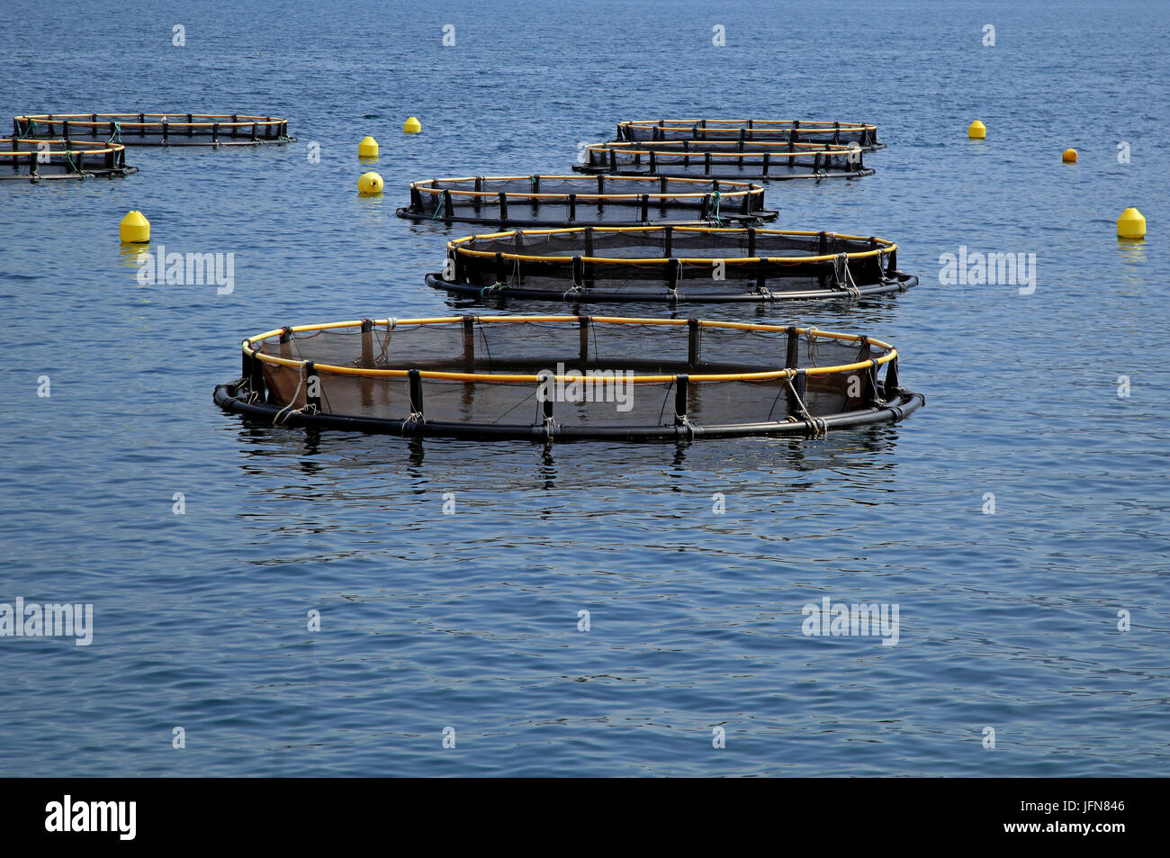 Underwater farm hi-res stock photography and images - Alamy