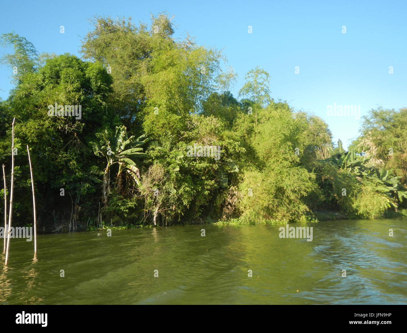 Pungo river hi-res stock photography and images - Alamy