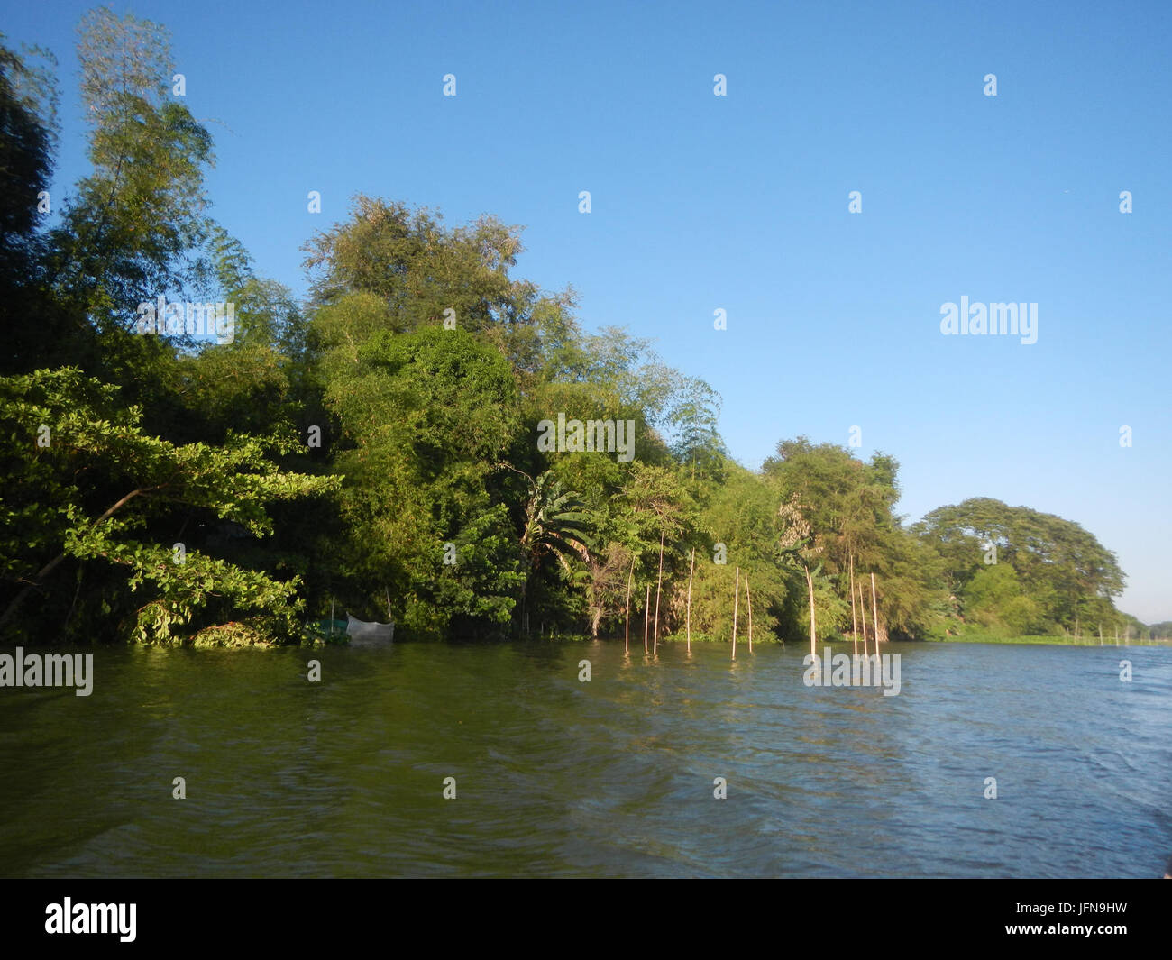 Pungo river hi-res stock photography and images - Alamy