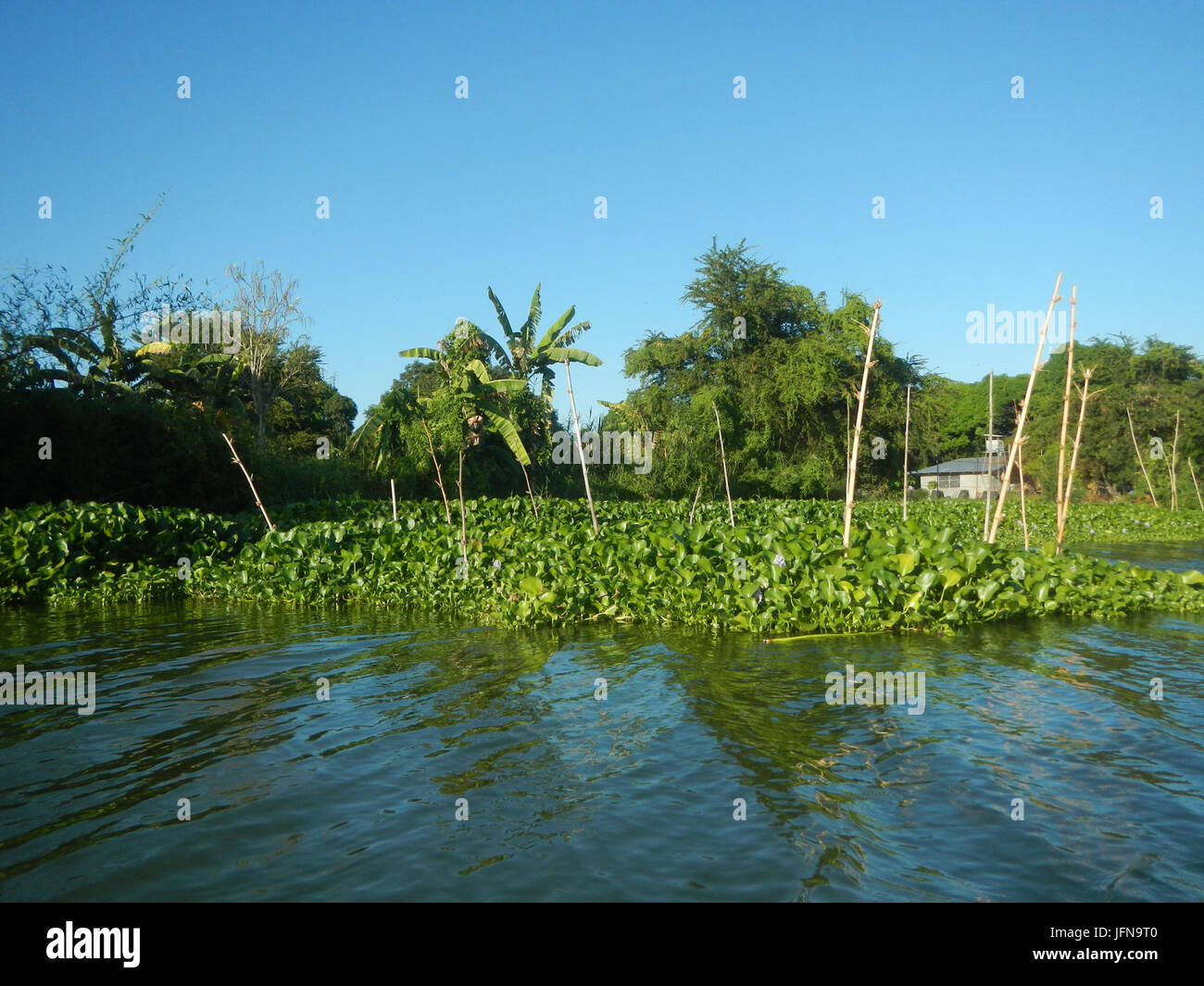 05019jfCalumpit Bulacan River Districts Pungo Santo Niño villagesfvf 17 ...