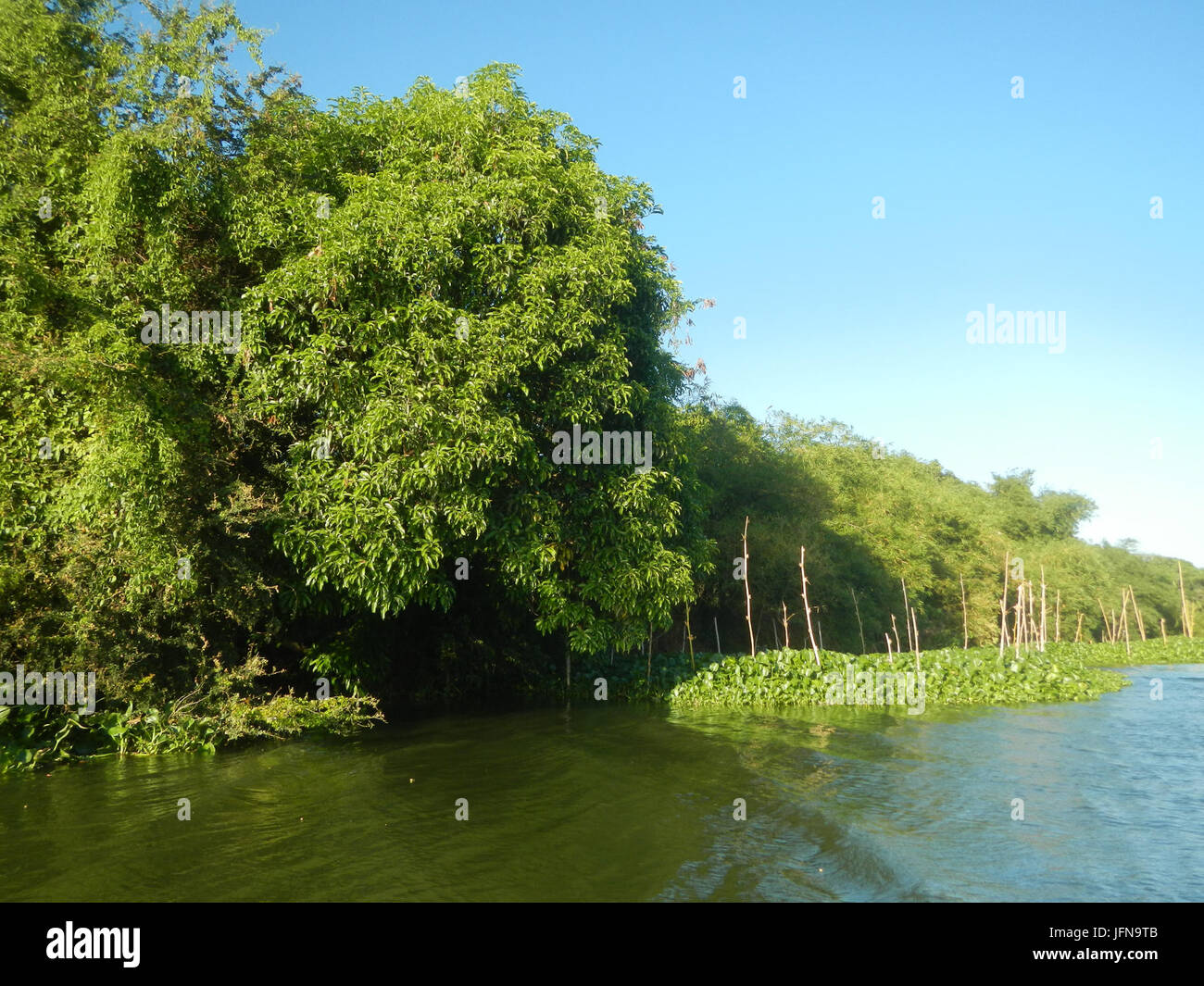 Pungo river hi-res stock photography and images - Alamy