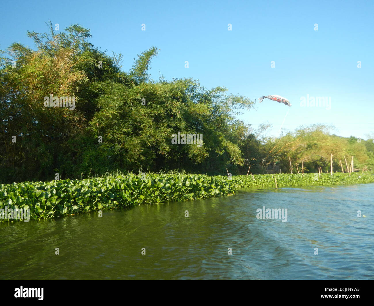 05019jfCalumpit Bulacan River Districts Pungo Santo Niño villagesfvf 42 ...