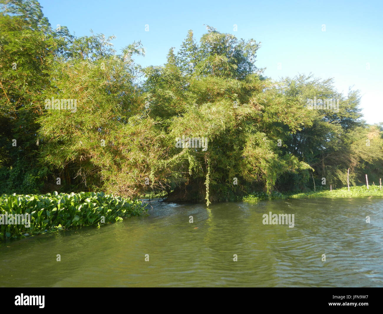 05019jfCalumpit Bulacan River Districts Pungo Santo Niño villagesfvf 45 ...