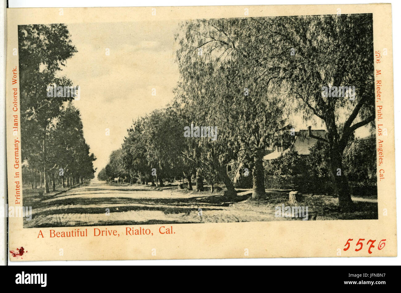 05576-Rialto-1904-A Beautiful Drive, Rialto, California-Brück & Sohn ...