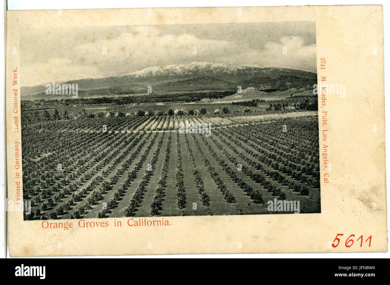Orange groves california hi-res stock photography and images - Alamy