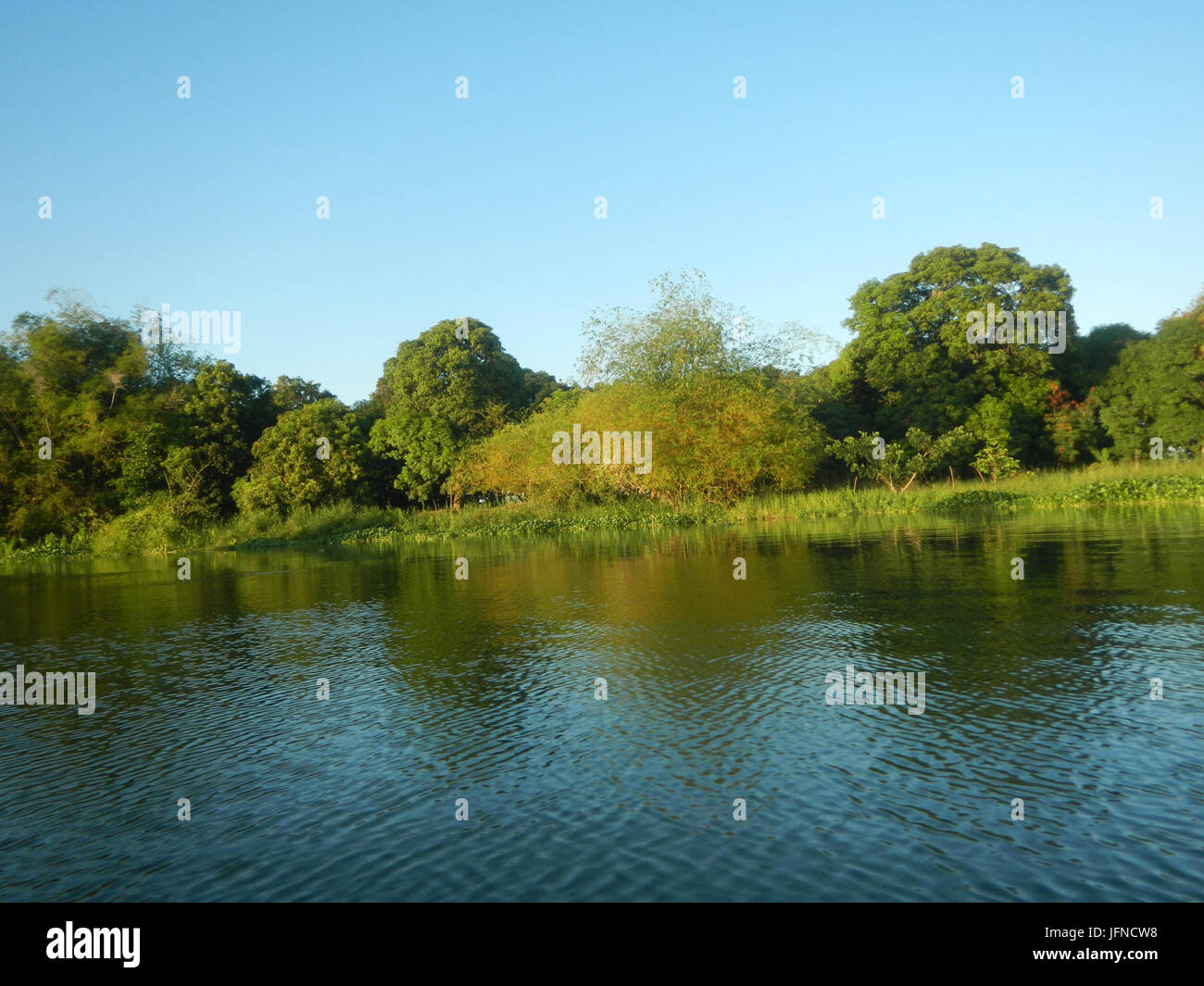 05975jfCalumpit, Bulacan Riverside Districts Sapang Bayan Santo Niño ...