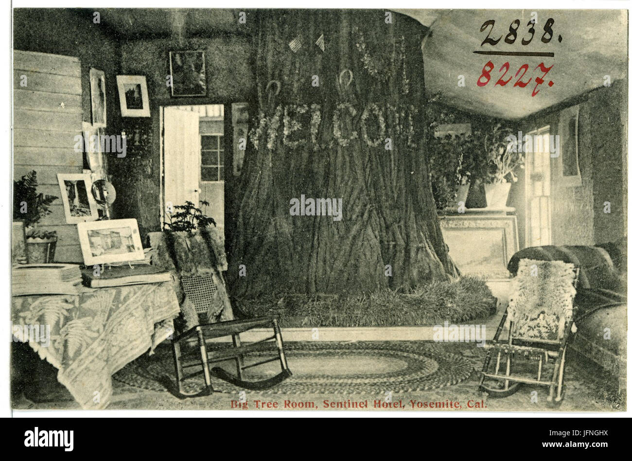 082 -Yosemite, Cal.-1906-Big Tree Room, Sentinel Hotel-Brück & Sohn ...