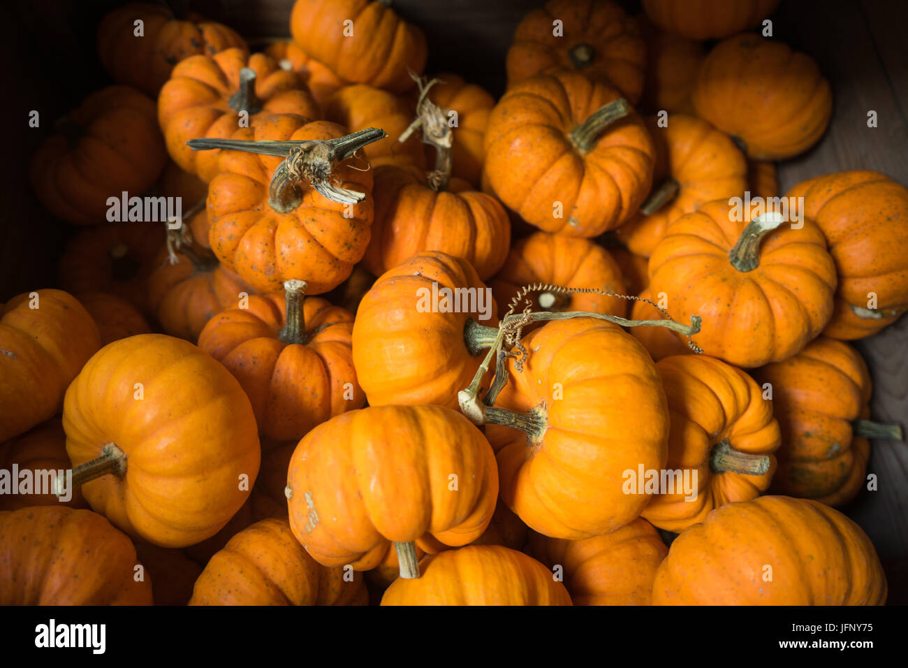 Jack be litte hi-res stock photography and images - Alamy