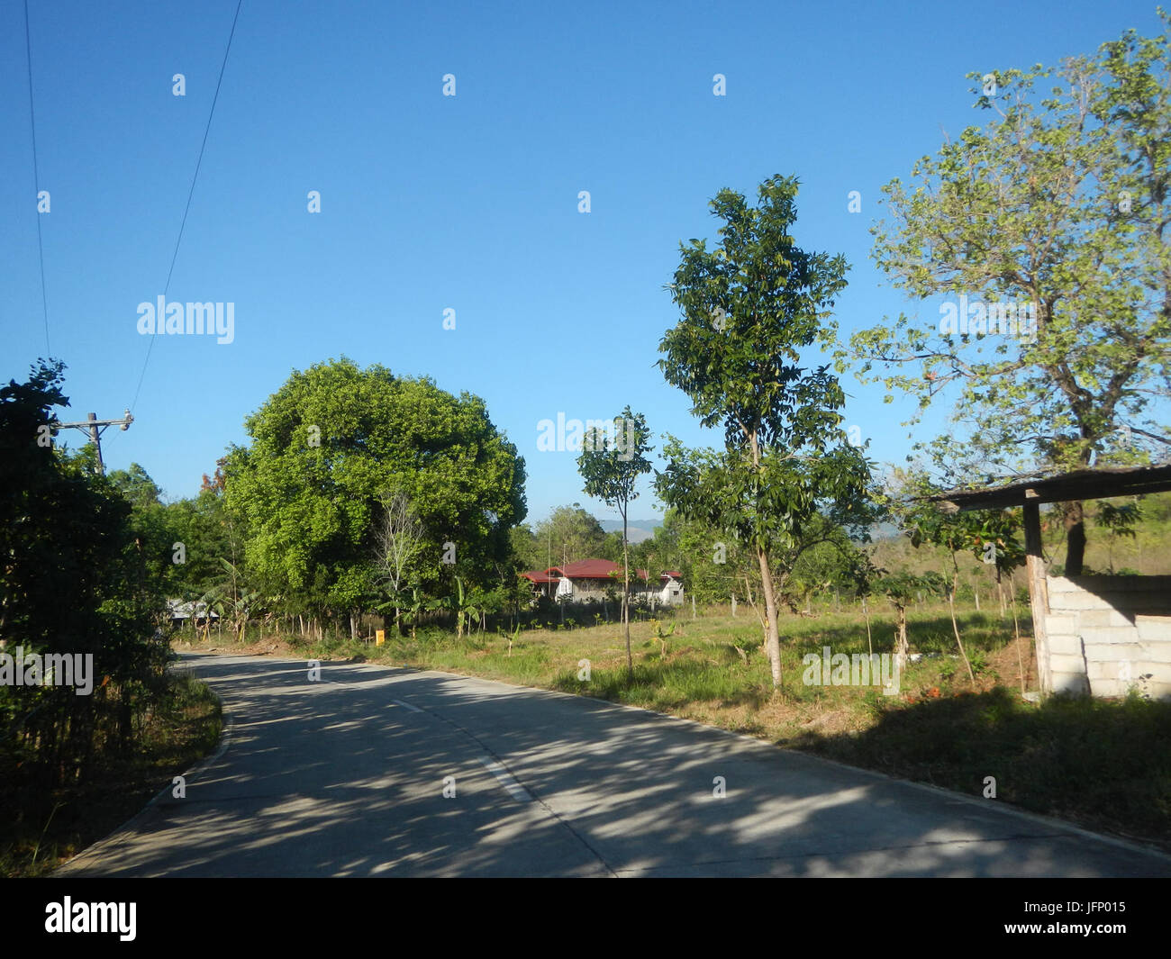 0385jfTalbak Doña Remedios Trinidad Pineapple fields Roads Hills Treesfvf 04 Stock Photo - Alamy