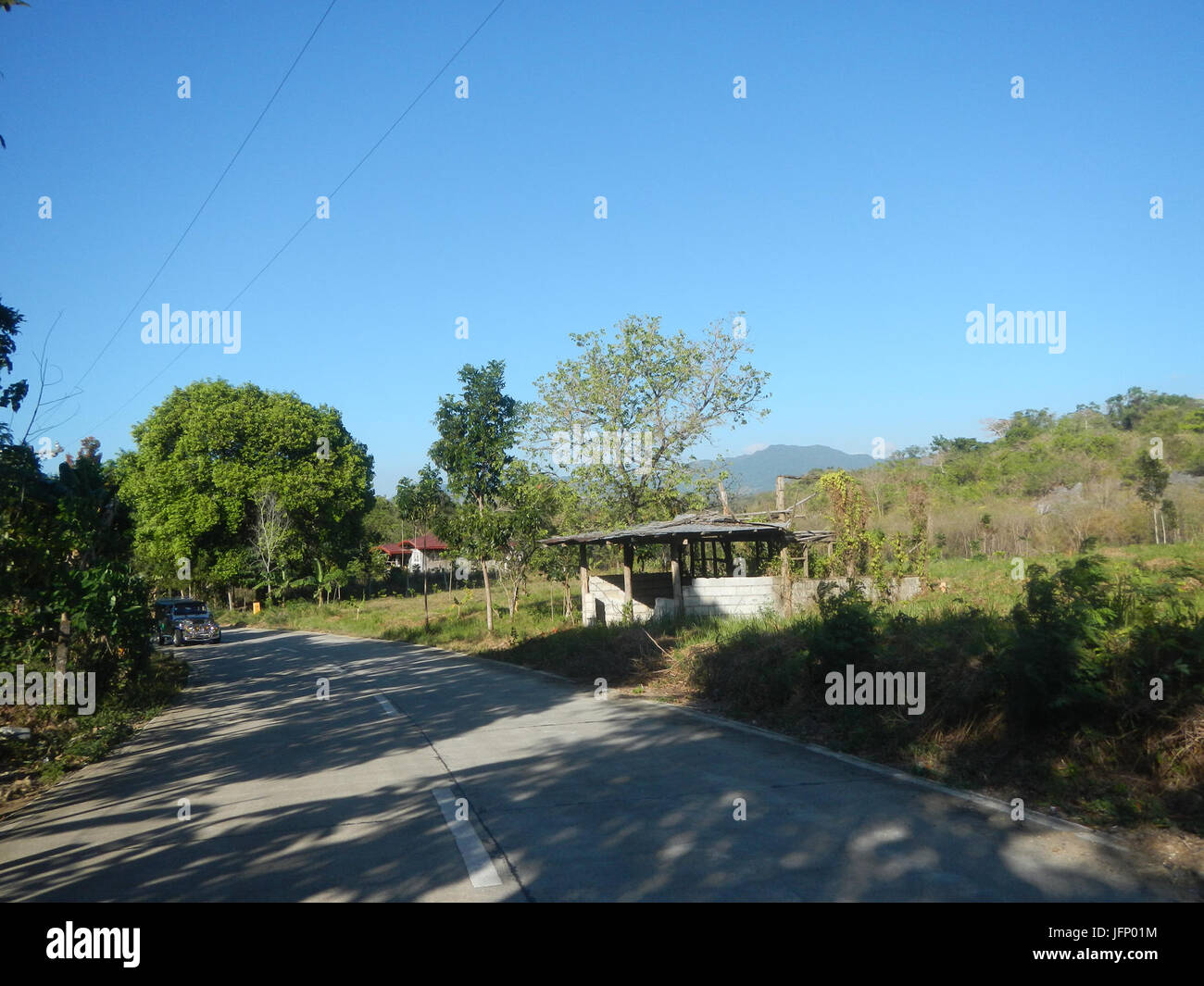 0385jfTalbak Doña Remedios Trinidad Pineapple fields Roads Hills Treesfvf 05 Stock Photo - Alamy