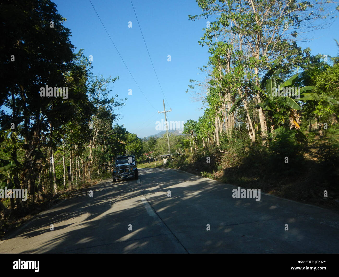 0385jfTalbak Doña Remedios Trinidad Pineapple fields Roads Hills Treesfvf 08 Stock Photo - Alamy