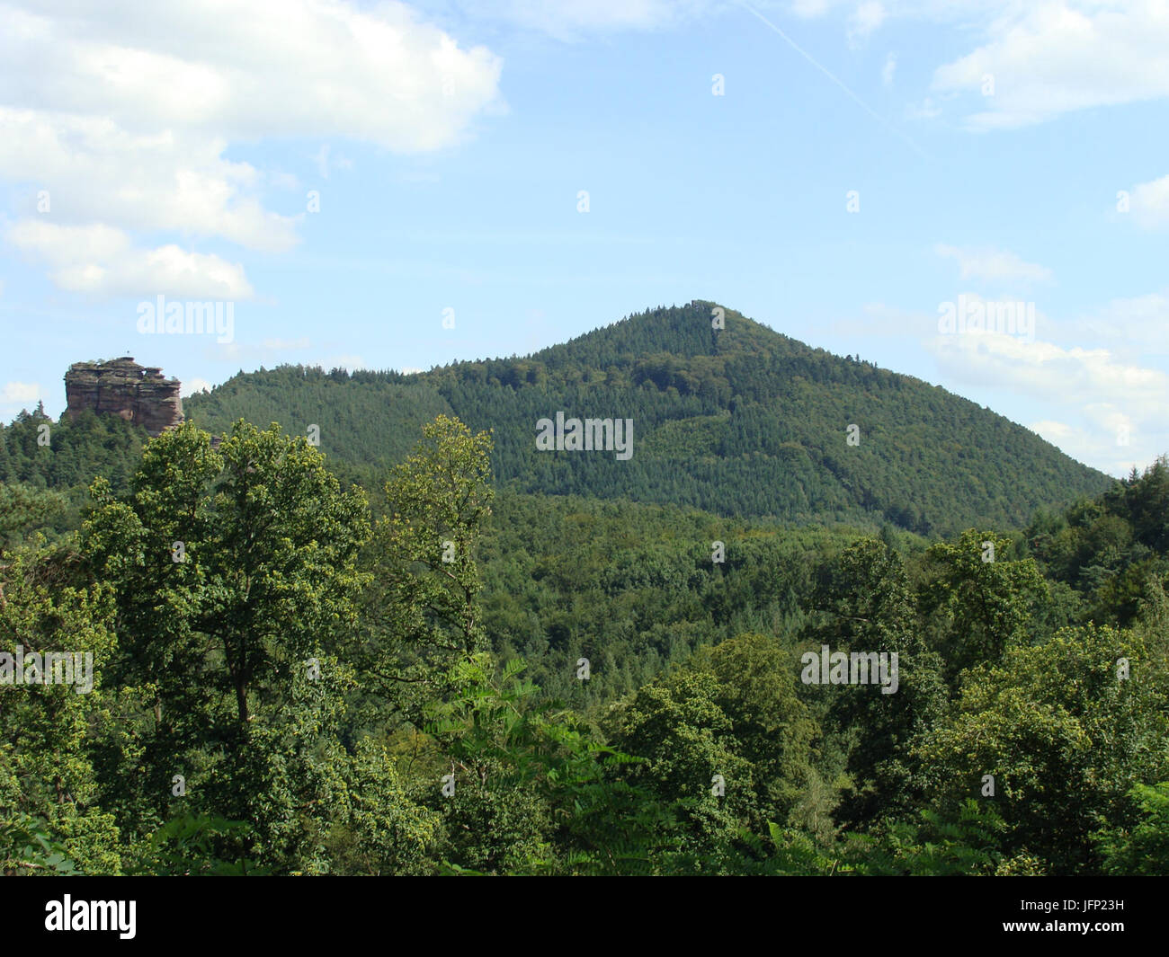 2011 Pfälzerwald 1 Rehberg Stock Photo - Alamy