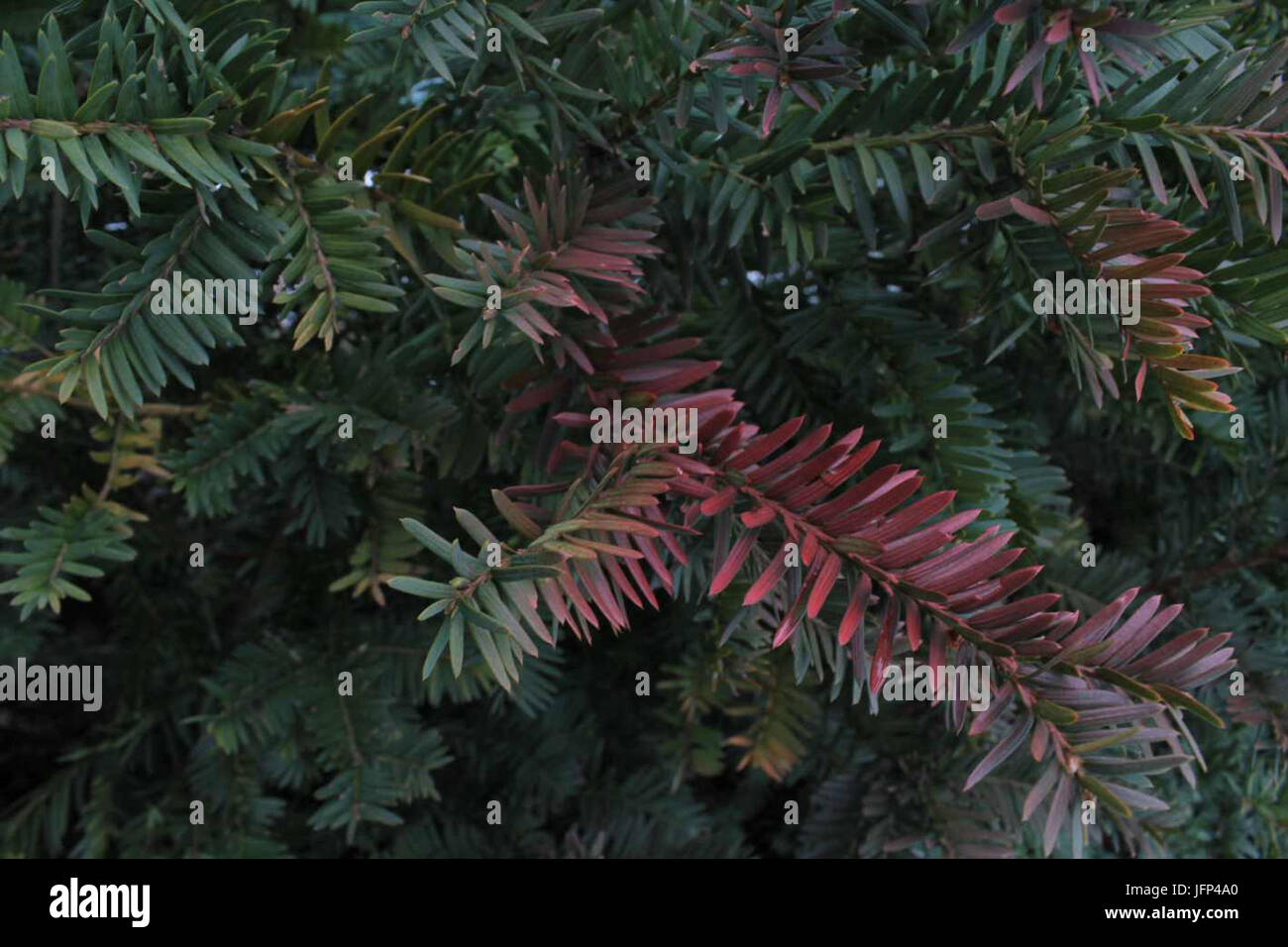 166u hi-res stock photography and images - Alamy