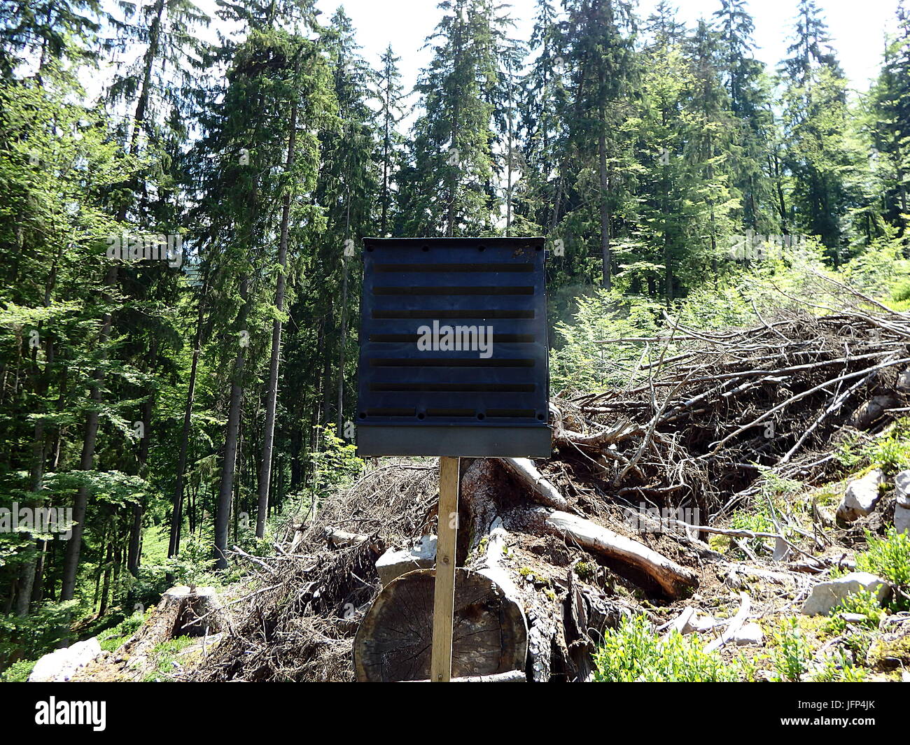 Black pheromone traps insects, Forest preservation, pheromone trap for ...