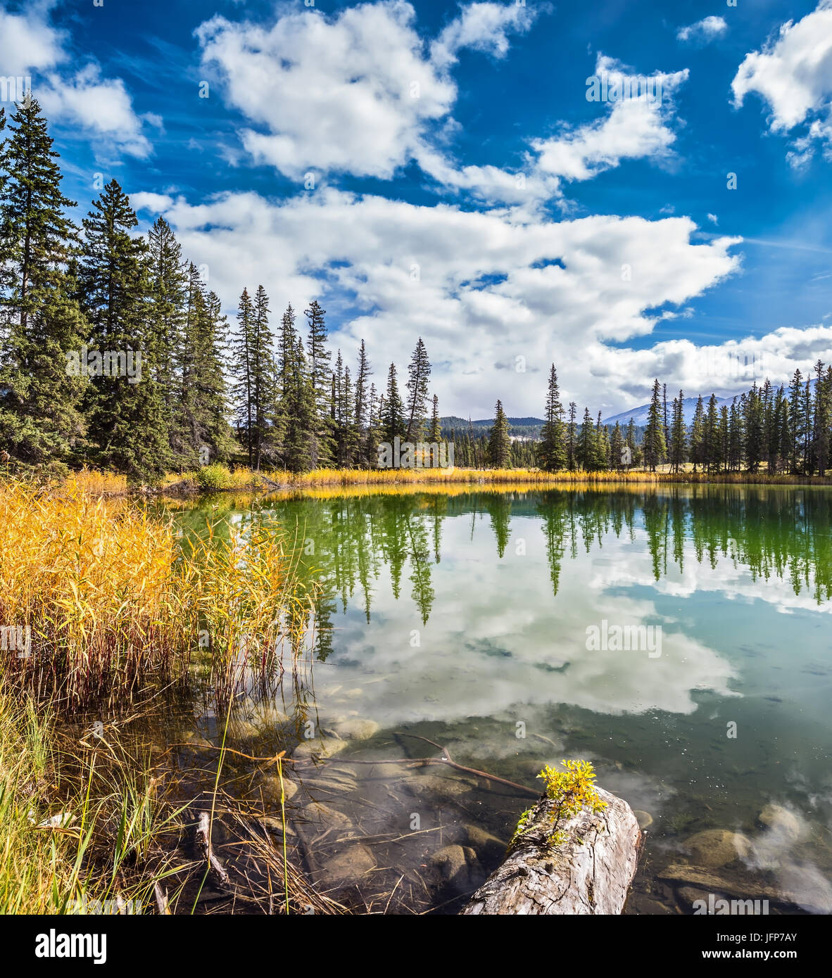 Shallowed circular lake in the autumn forest Stock Photo - Alamy