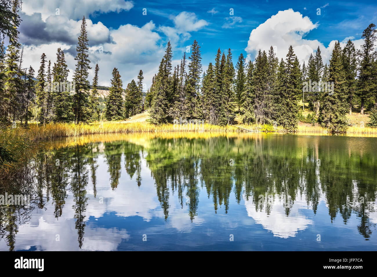 Forest is reflected in the mirrored water of lake Stock Photo - Alamy