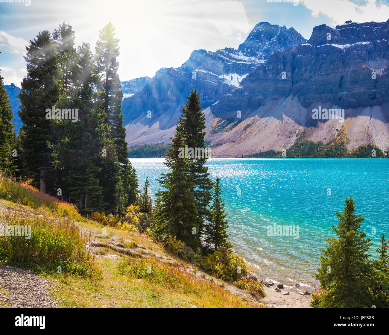 Mountain landscape with glacier lake and pine trees hi-res stock ...