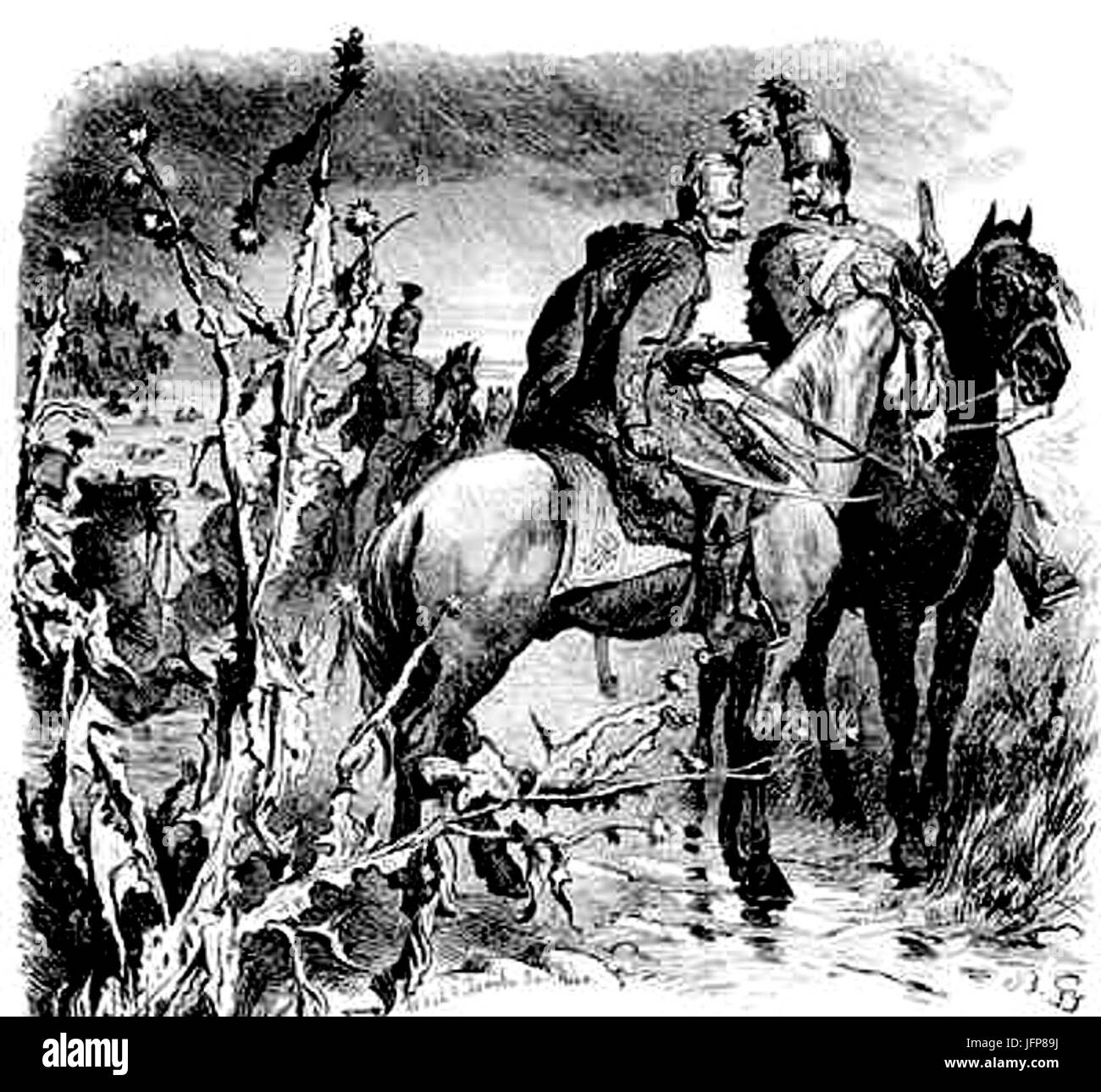 Lenkey hi-res stock photography and images - Alamy