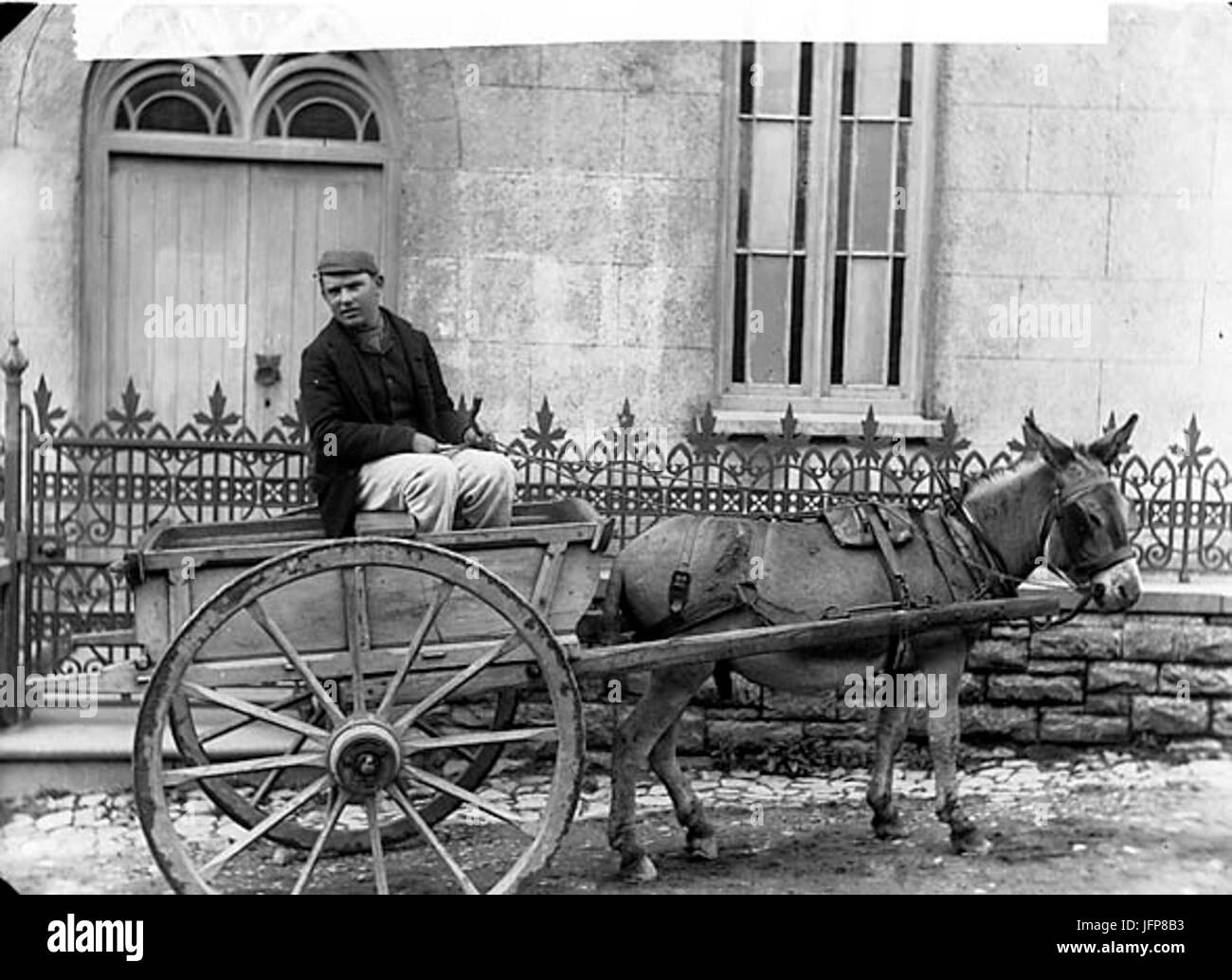 Cart drawn by a donkey hi-res stock photography and images - Alamy
