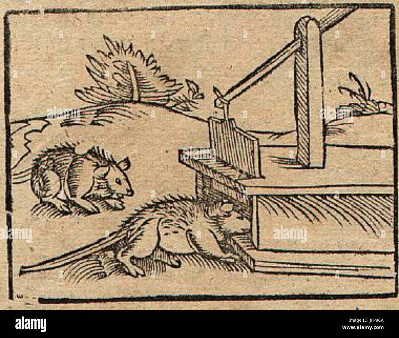 Mechanical trap hi-res stock photography and images - Alamy