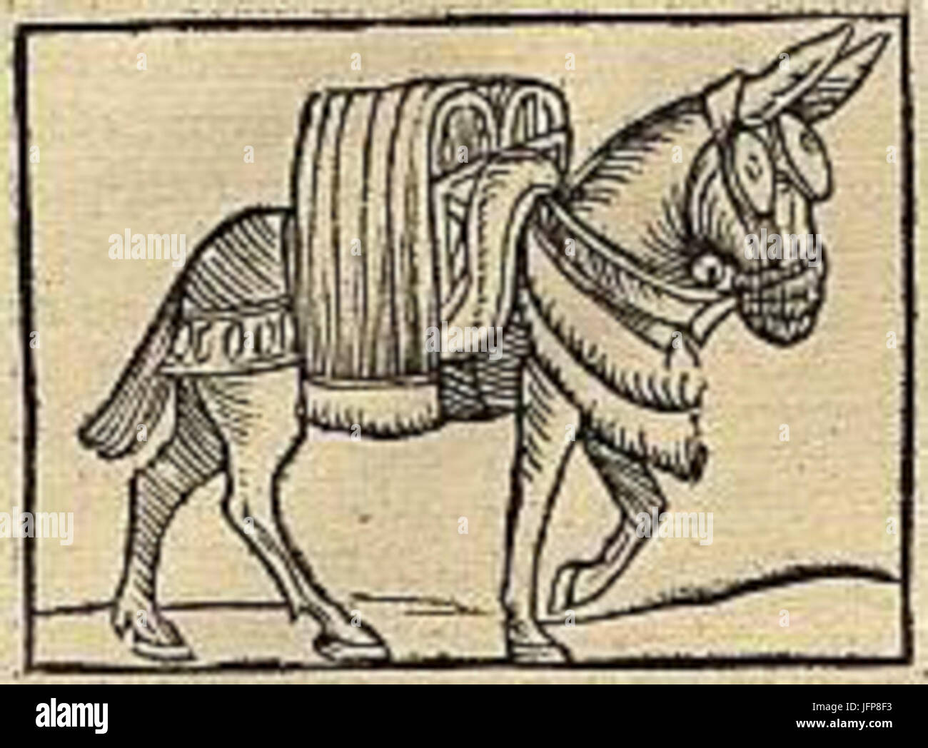 A saddled horse 28or mule29 from India Cosmographia 28154429 by ...