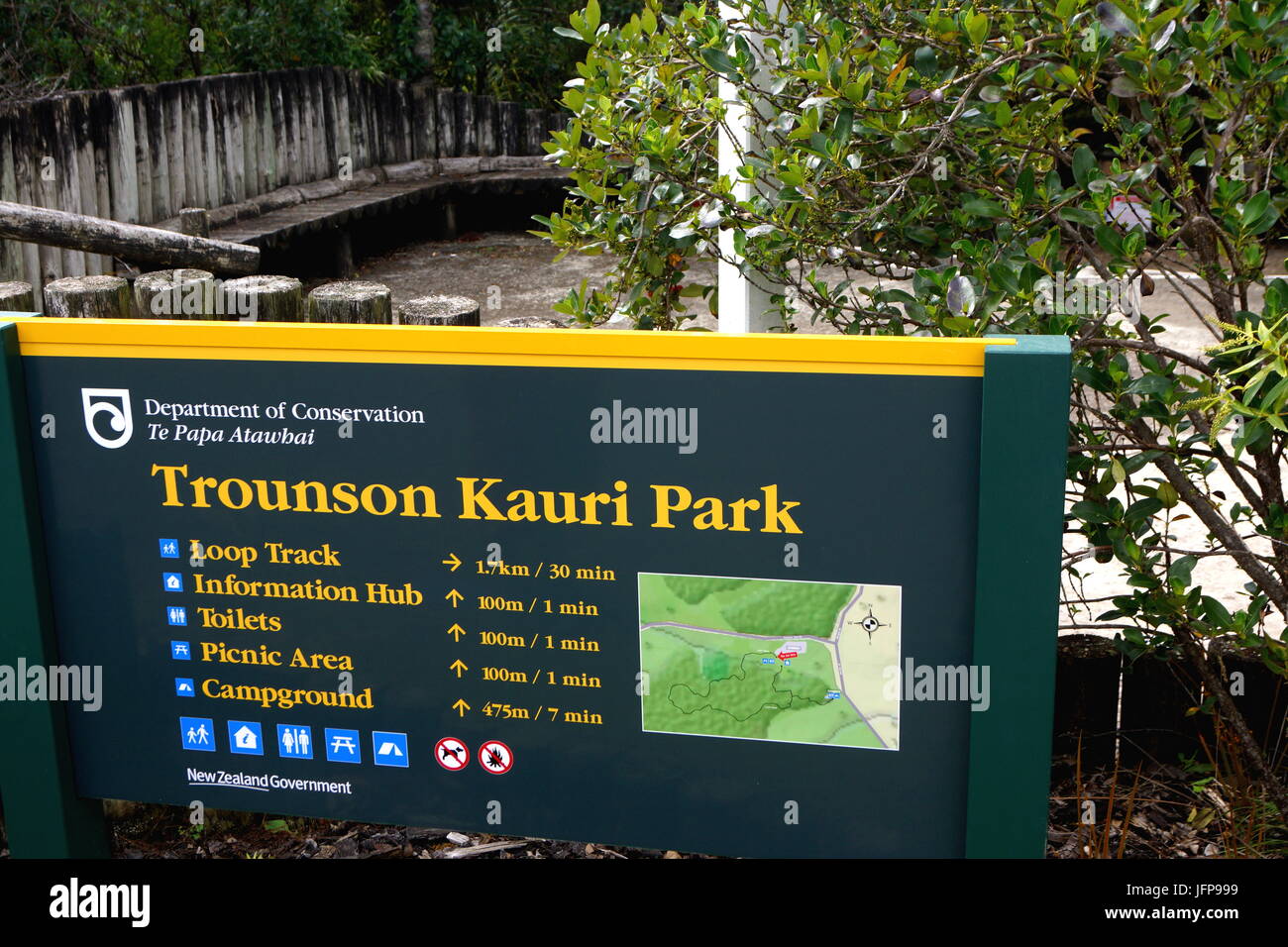 Trounson Kauri Park High Resolution Stock Photography and Images - Alamy