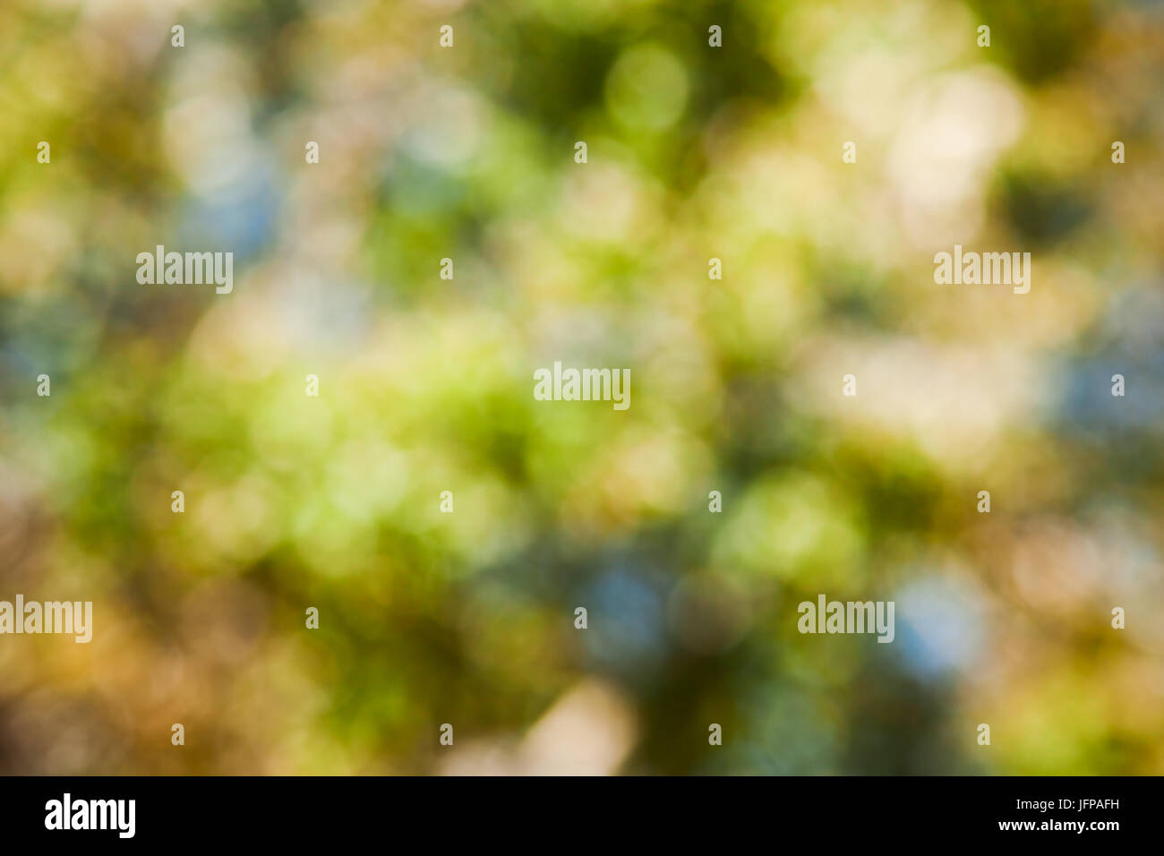 Boke hi-res stock photography and images - Alamy