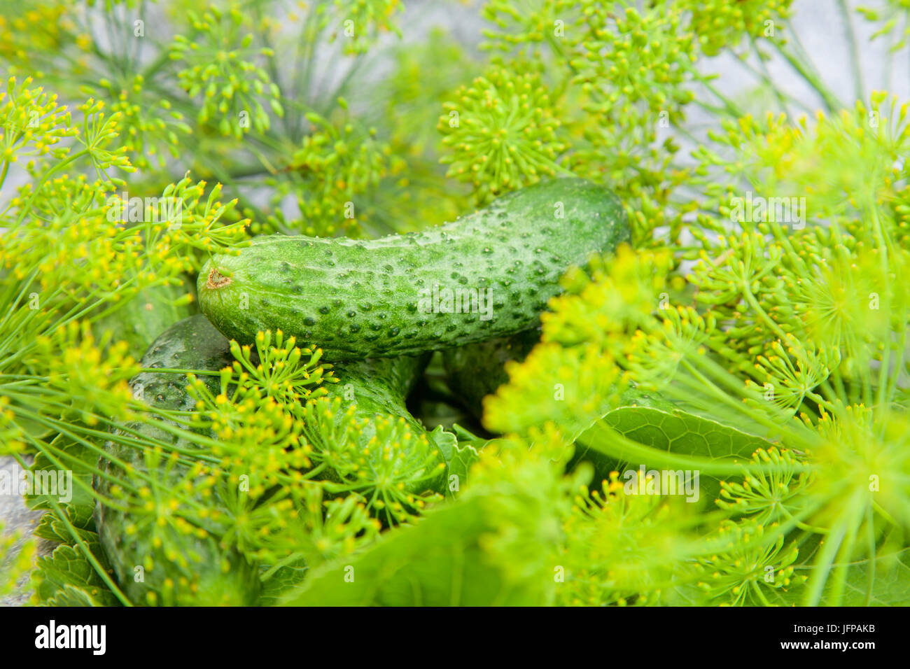 Cucumber flavor hi-res stock photography and images - Alamy