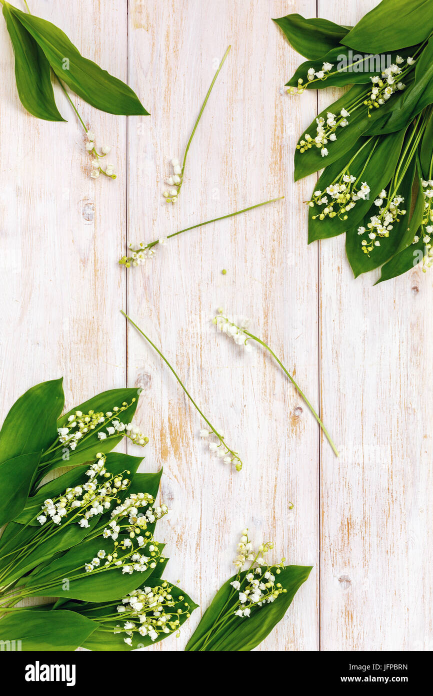 Delicate lily of the valley Stock Photo - Alamy