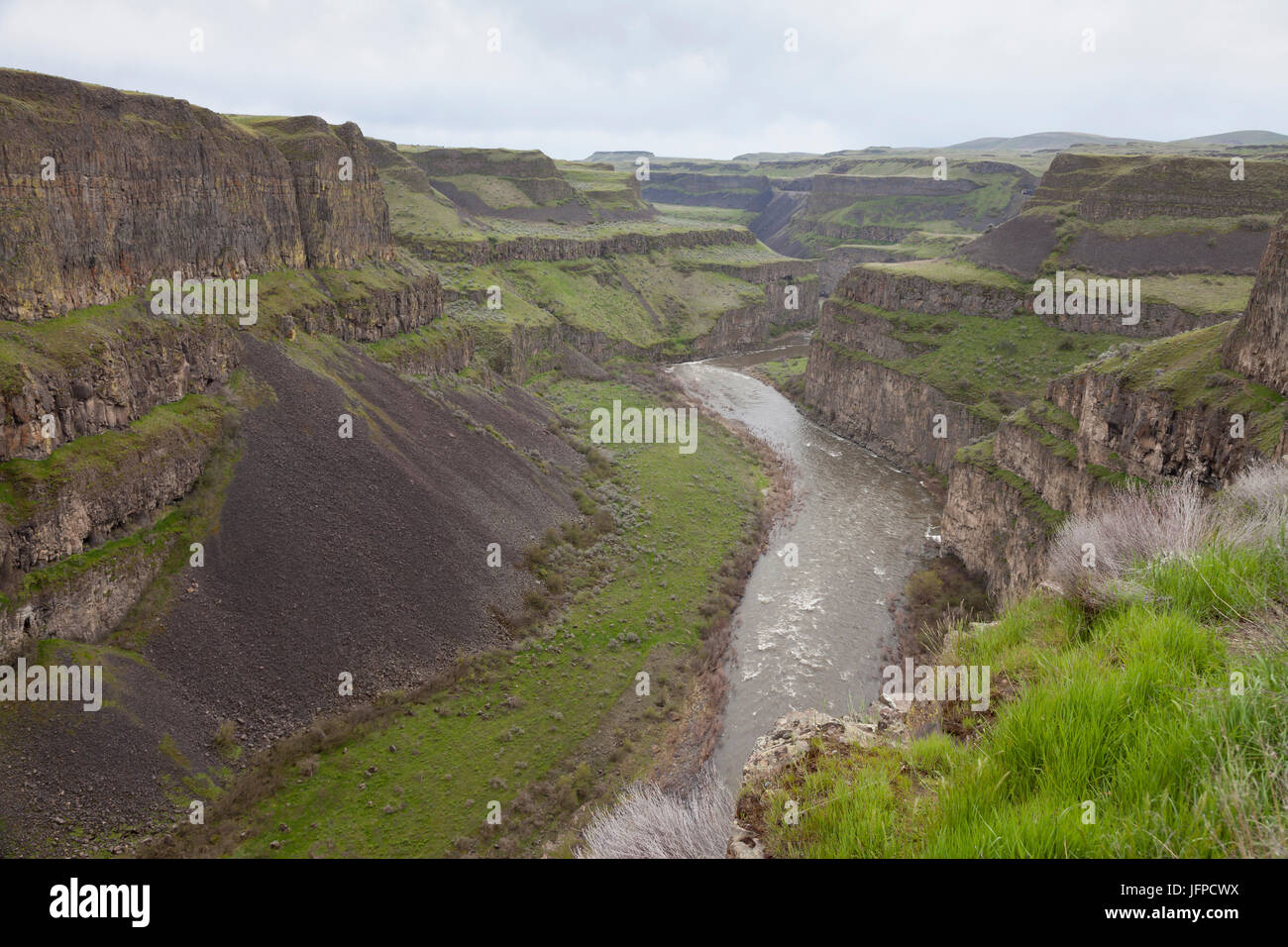 Franklin/Whitman County, Washington: Palouse River Canyon during peak ...