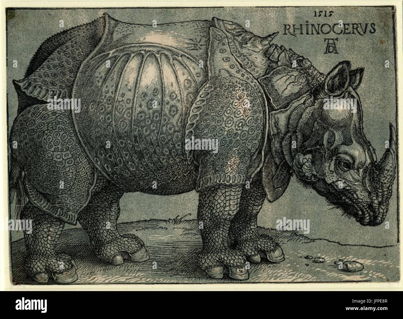 Albrecht Dürer 28Janssen chiaroscuro woodcut 29 - Rhinoceros - BM ...