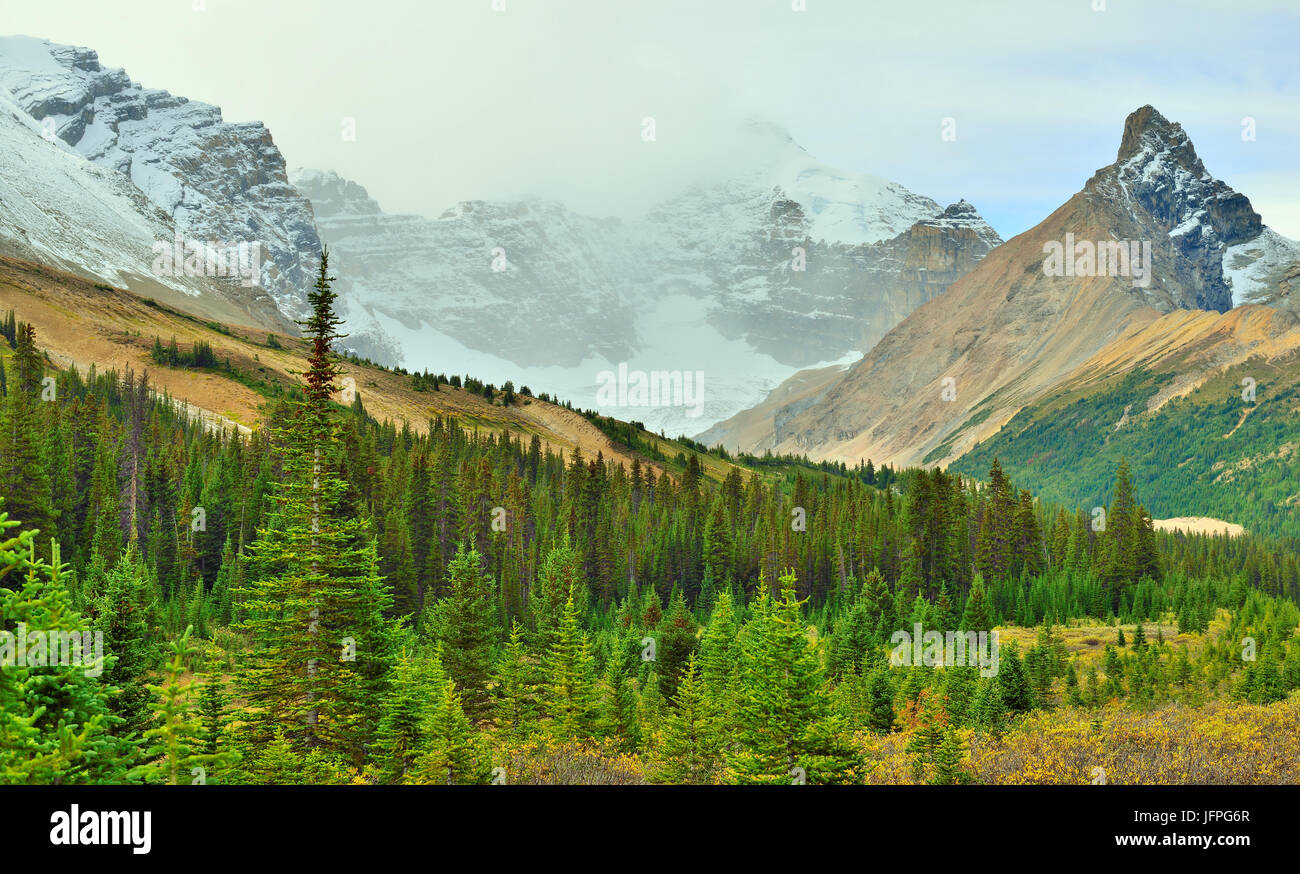 Alpine scenery along the Icefields Parkway between Jasper and Banff in ...