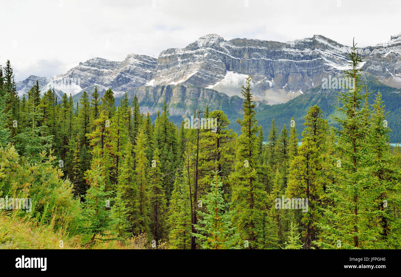 Alpine scenery along the Icefields Parkway between Jasper and Banff in ...