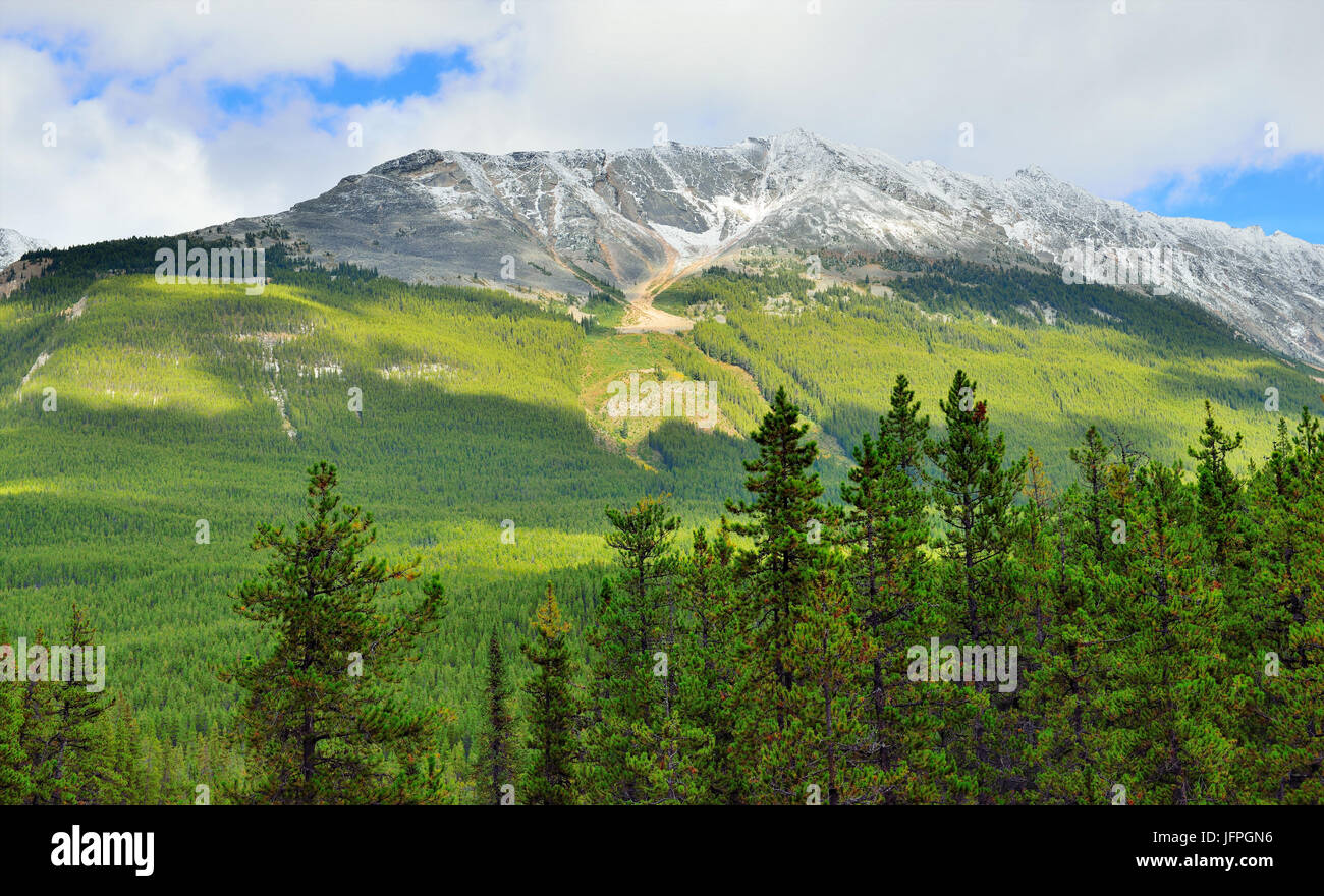 Alpine scenery along the Icefields Parkway between Jasper and Banff in ...