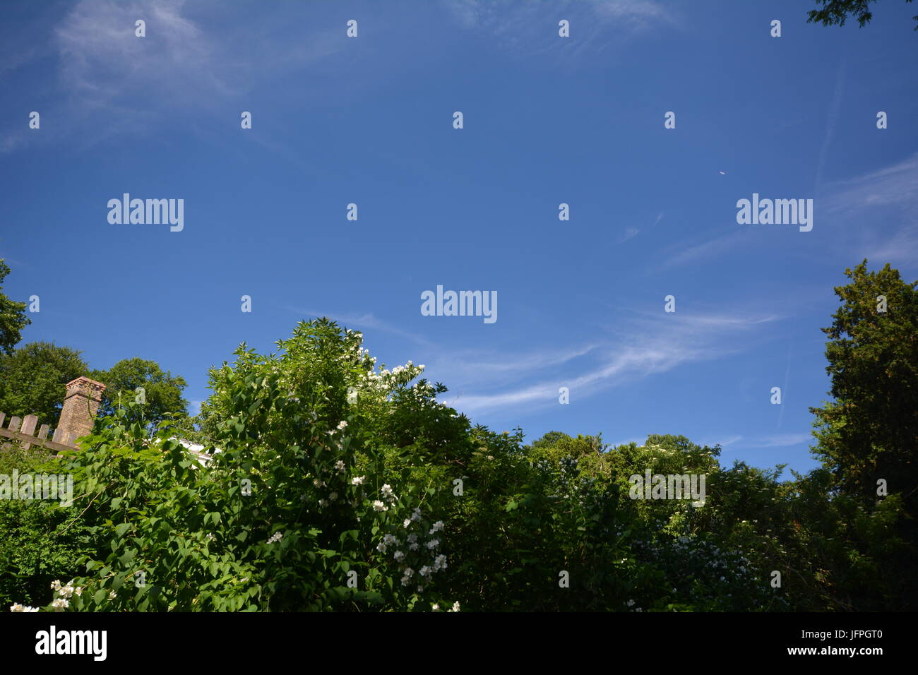 Impressions from the Peacock Island (Pfaueninsel) in Berlin on June 11 ...