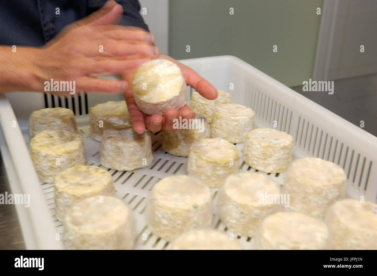 manufacture of cheese Stock Photo - Alamy