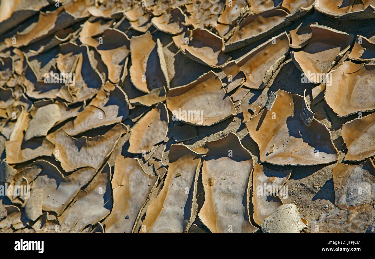 Arid ground hi-res stock photography and images - Alamy