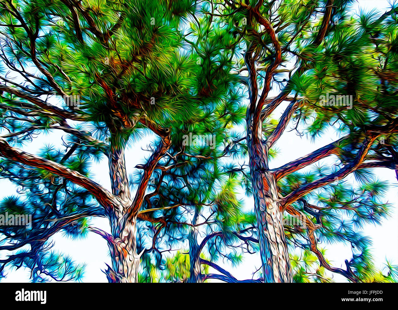 Top of trees Stock Photo - Alamy