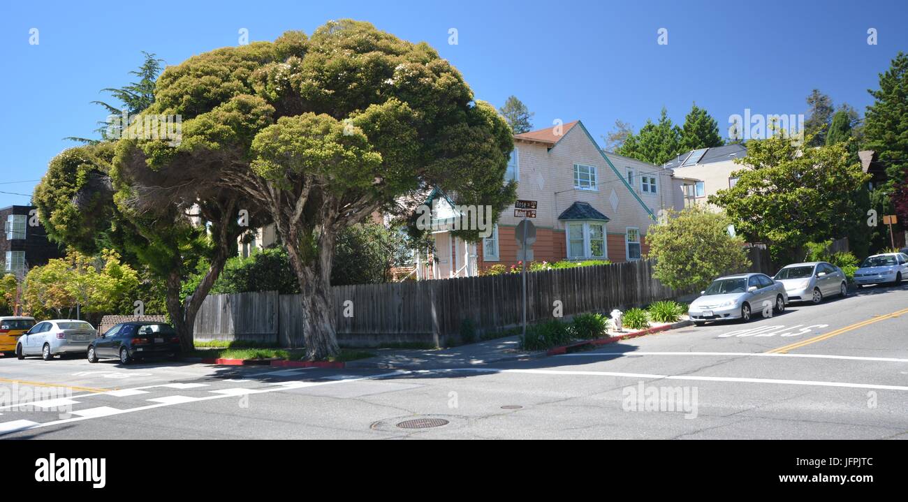 Streets Impressions from Berkeley from April 30, 2017, California USA ...