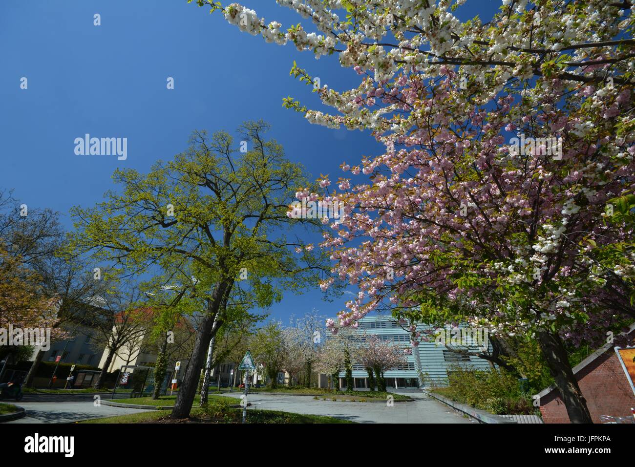 Spring in Berlin at the station Attilastrasse on May 2, 2016, Germany ...