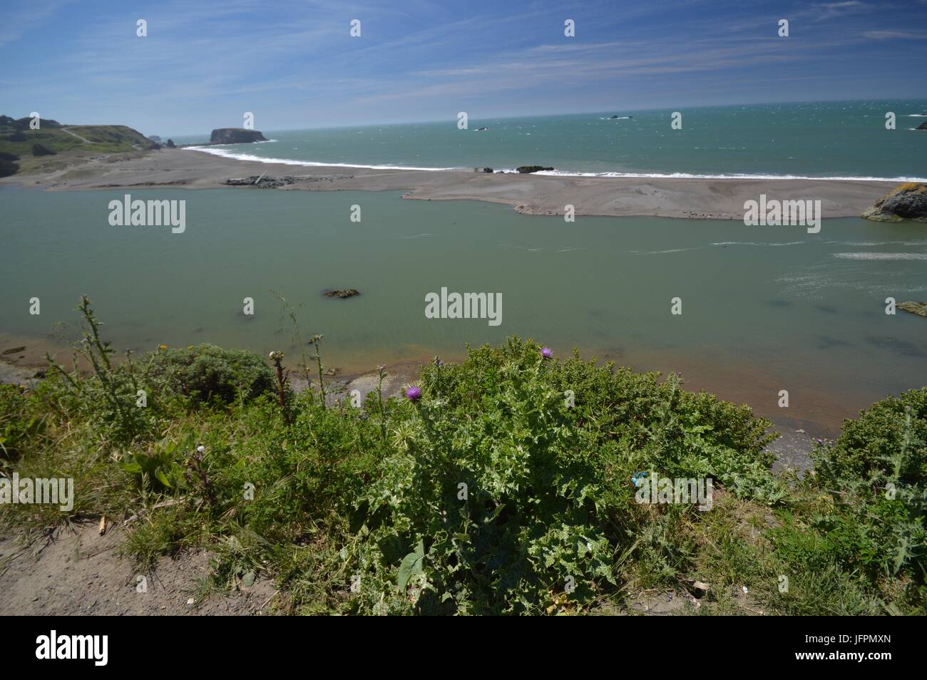 View of the Pacific coast at Goat Rock Beach, on Highway 1 between ...