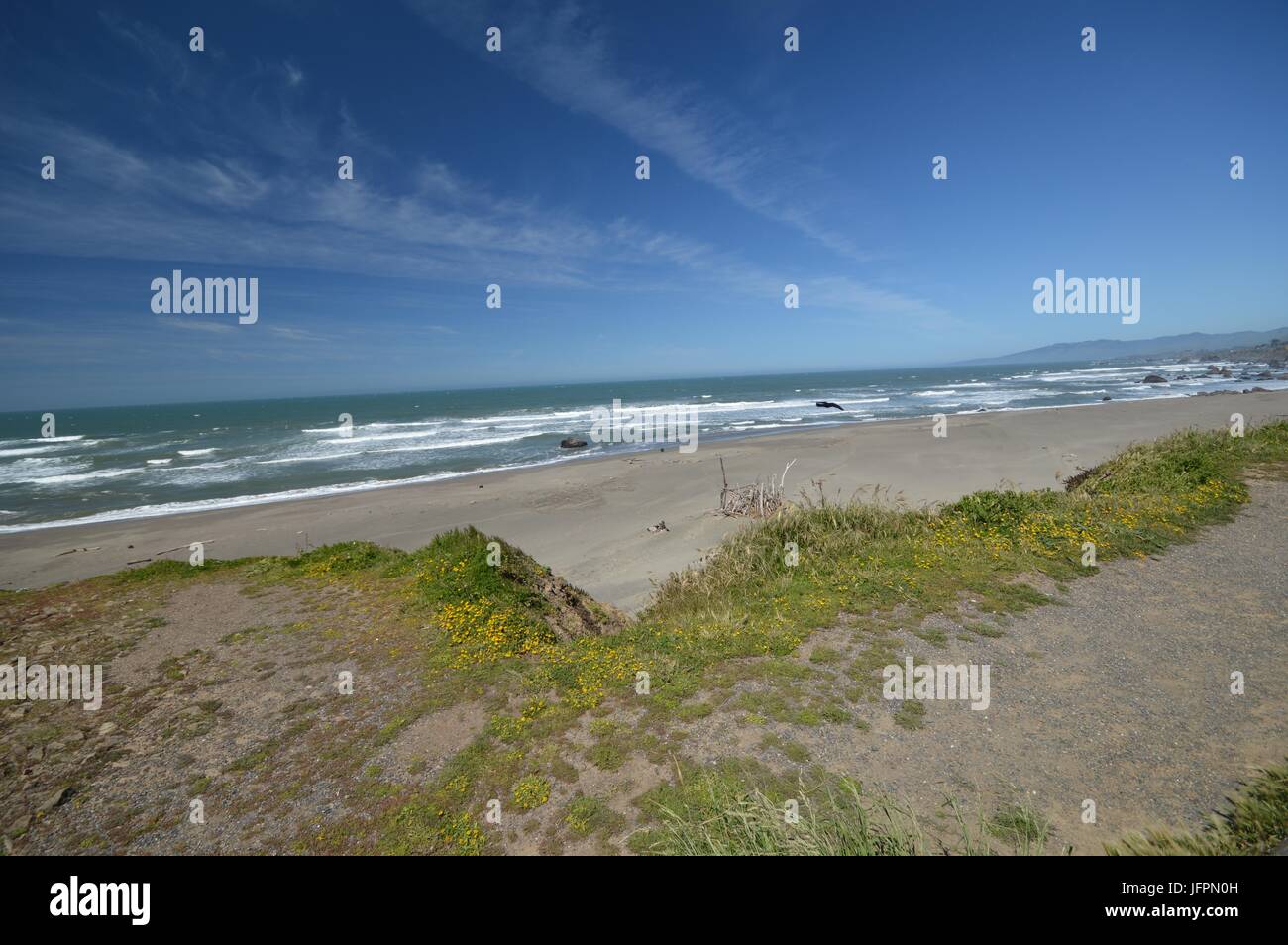 View of the Pacific coast at Goat Rock Beach, on Highway 1 between ...