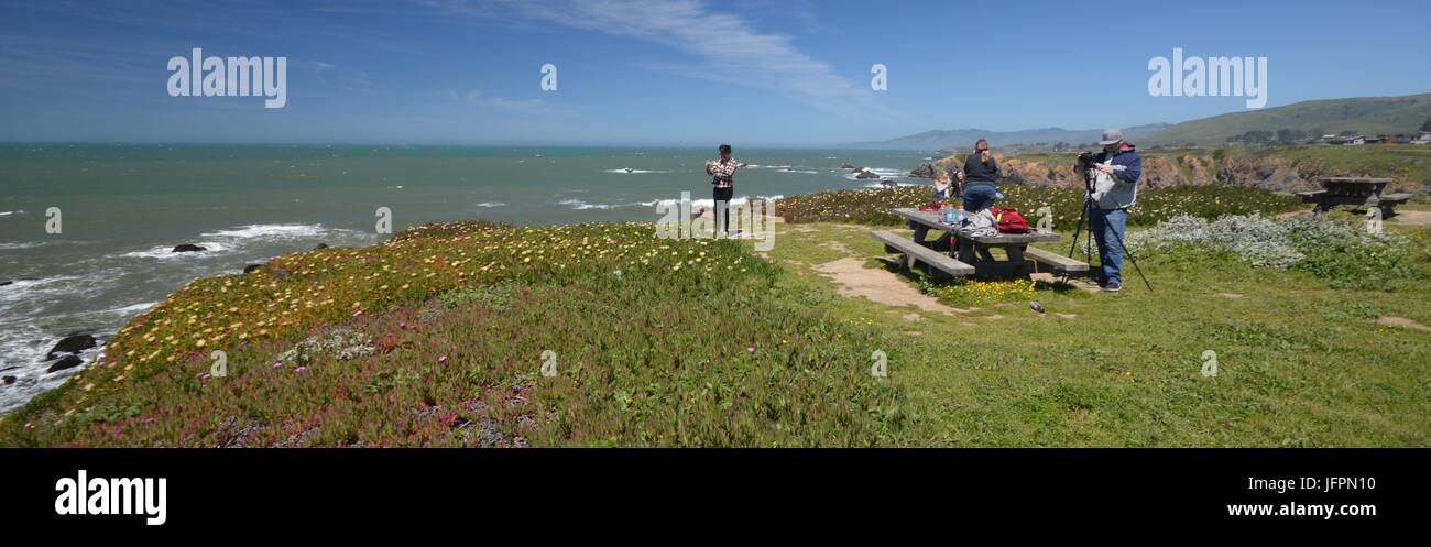 View of the Pacific coast at Goat Rock Beach, on Highway 1 between ...
