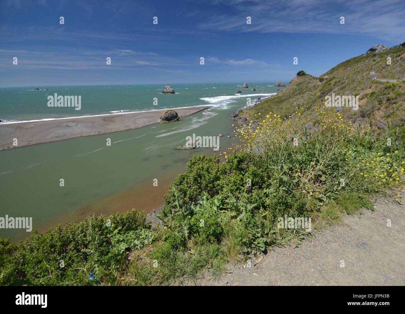 View of the Pacific coast at Goat Rock Beach, on Highway 1 between ...