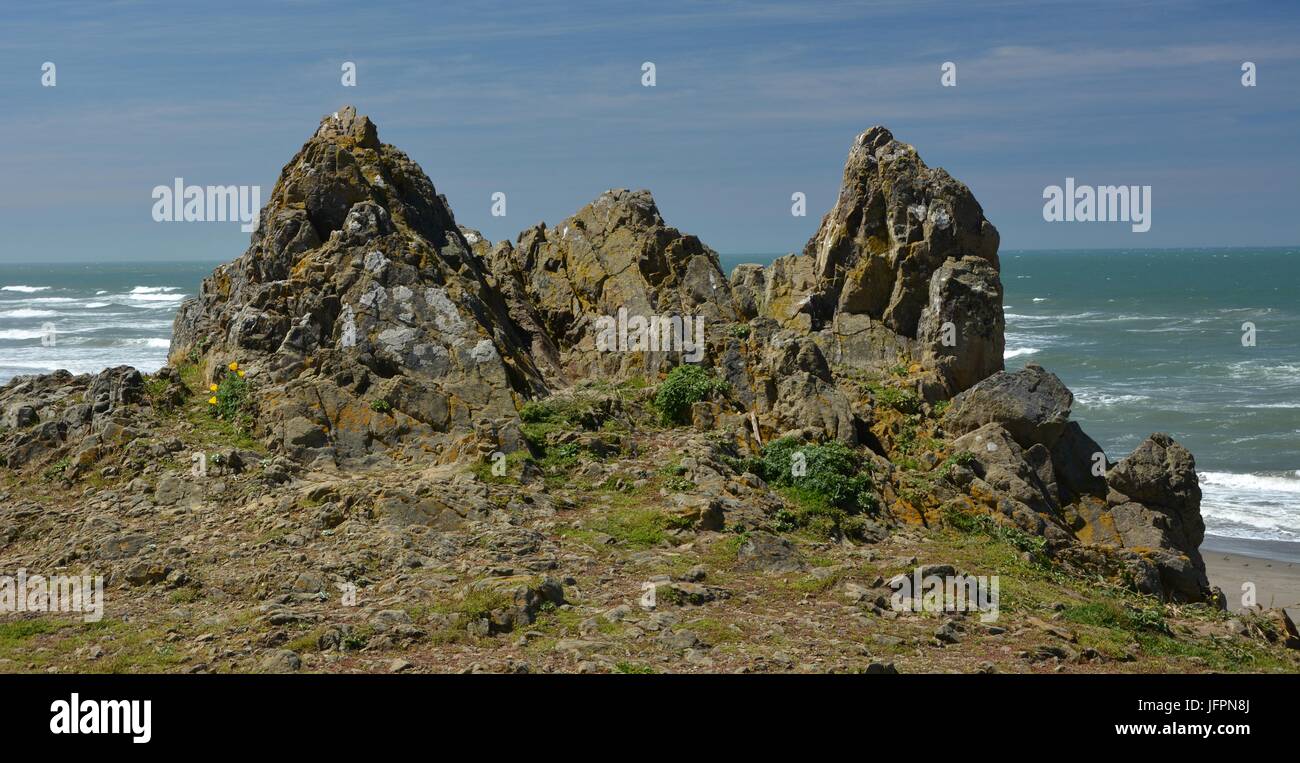 View of the Pacific coast at Goat Rock Beach, on Highway 1 between ...