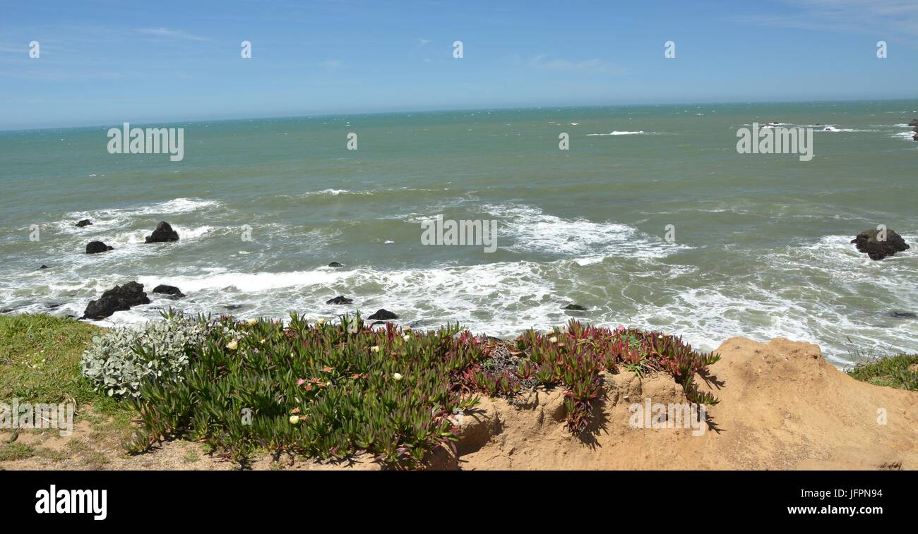 View of the Pacific coast at Goat Rock Beach, on Highway 1 between ...