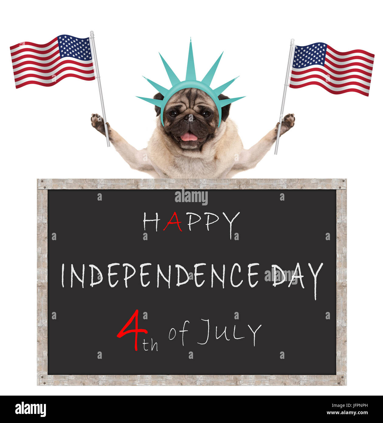 4th Of July Dog