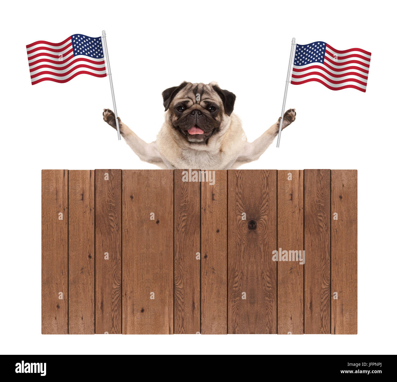 Proud pride dog Cut Out Stock Images & Pictures - Alamy